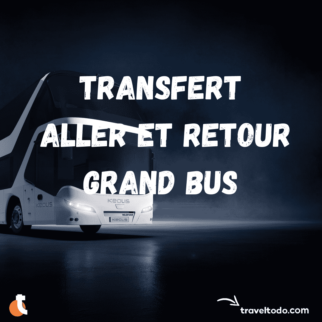 Navette Hôtel - Mena Festival